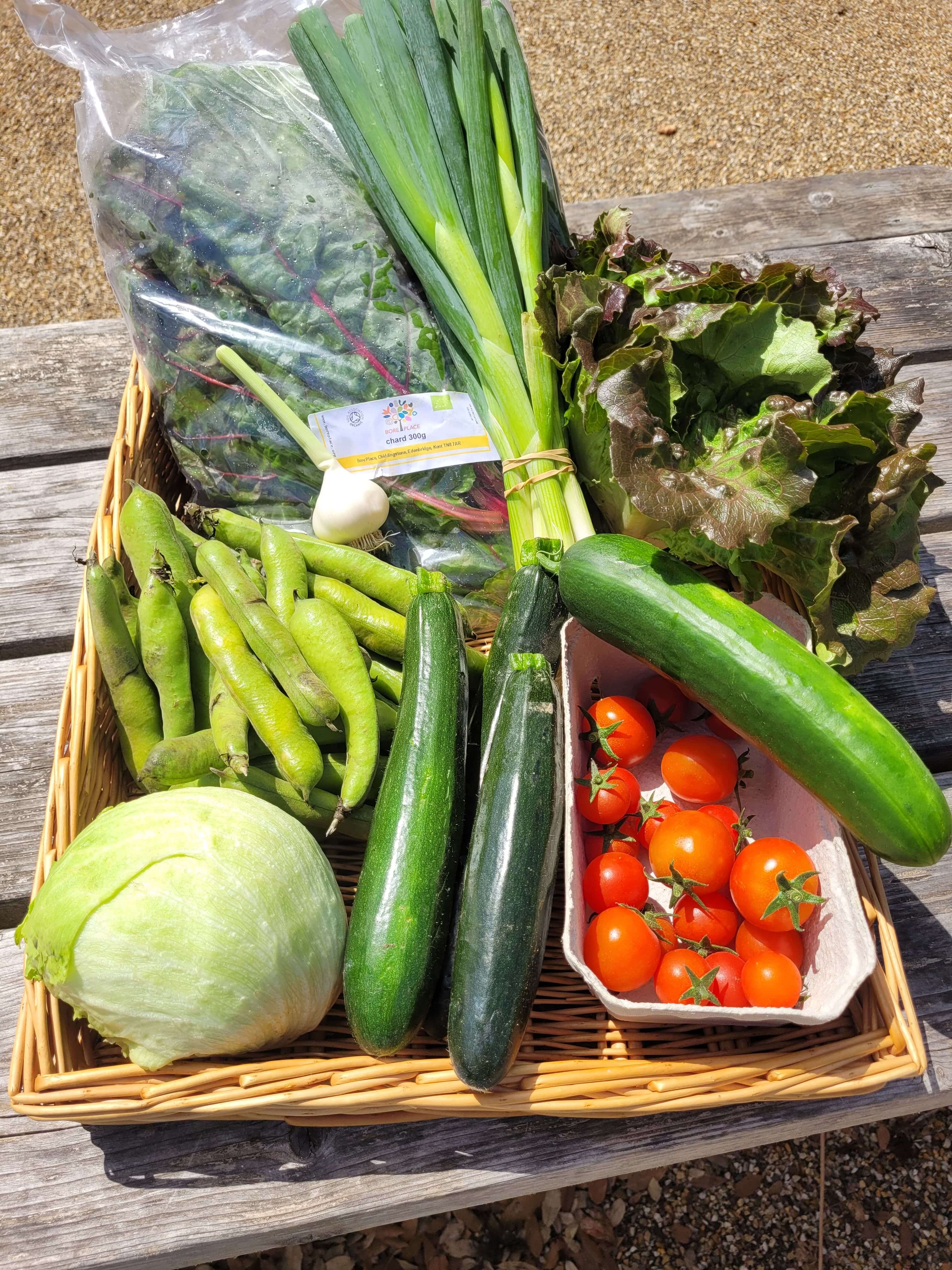 Fresh from the Field: Bore Place Veg Boxes Are Here!