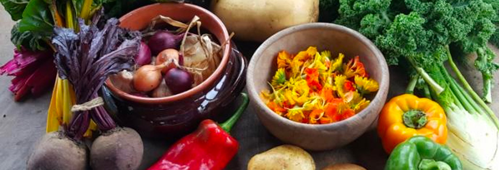 New plans for a Bore Place veg box