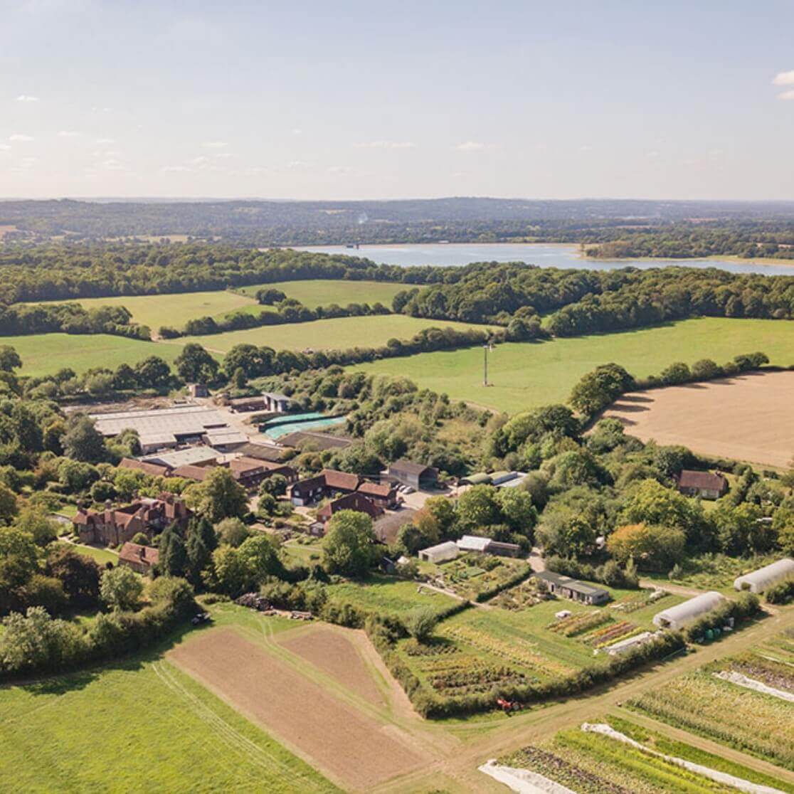 Job and volunteering opportunities at Bore Place.