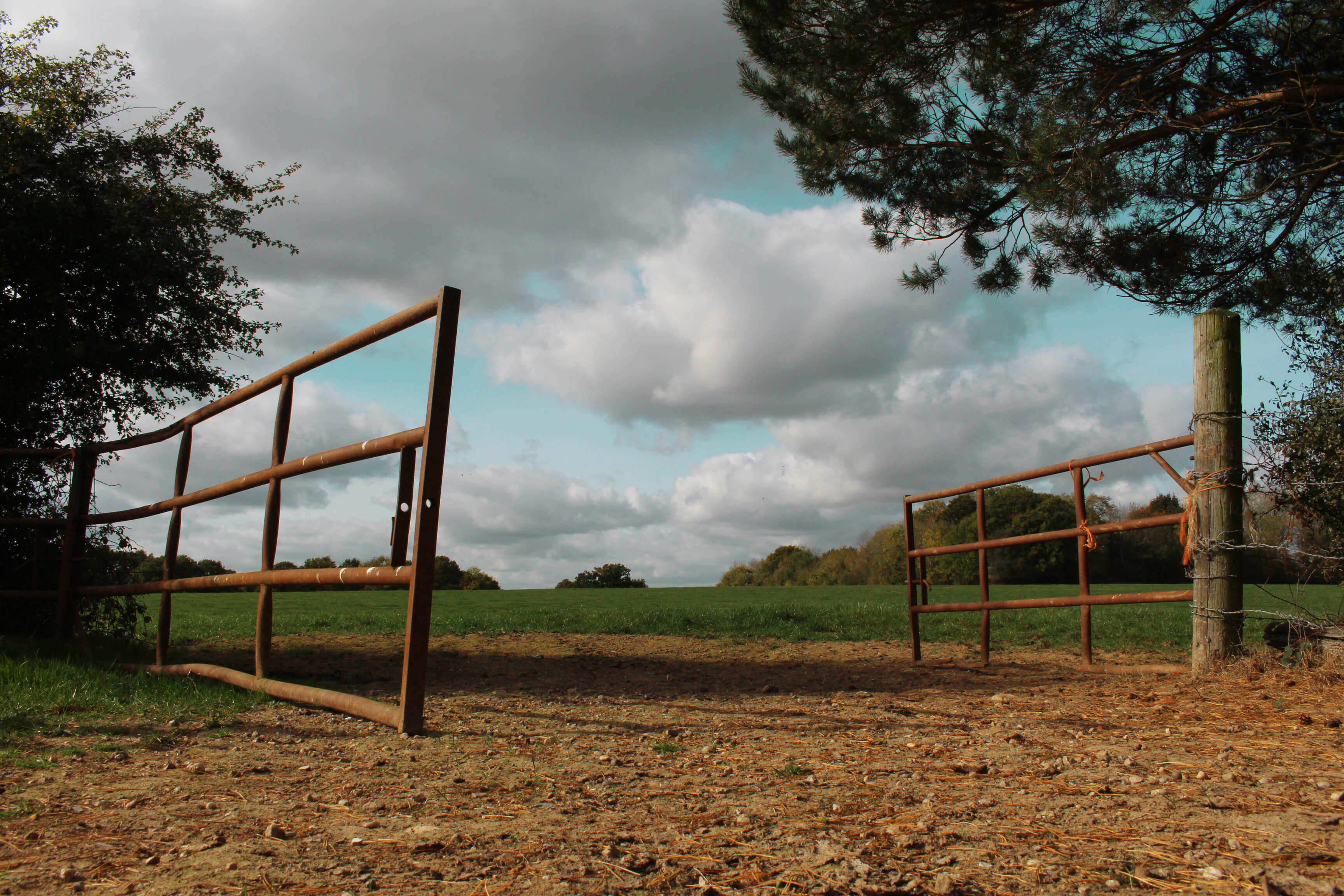 New Walks at Bore Place