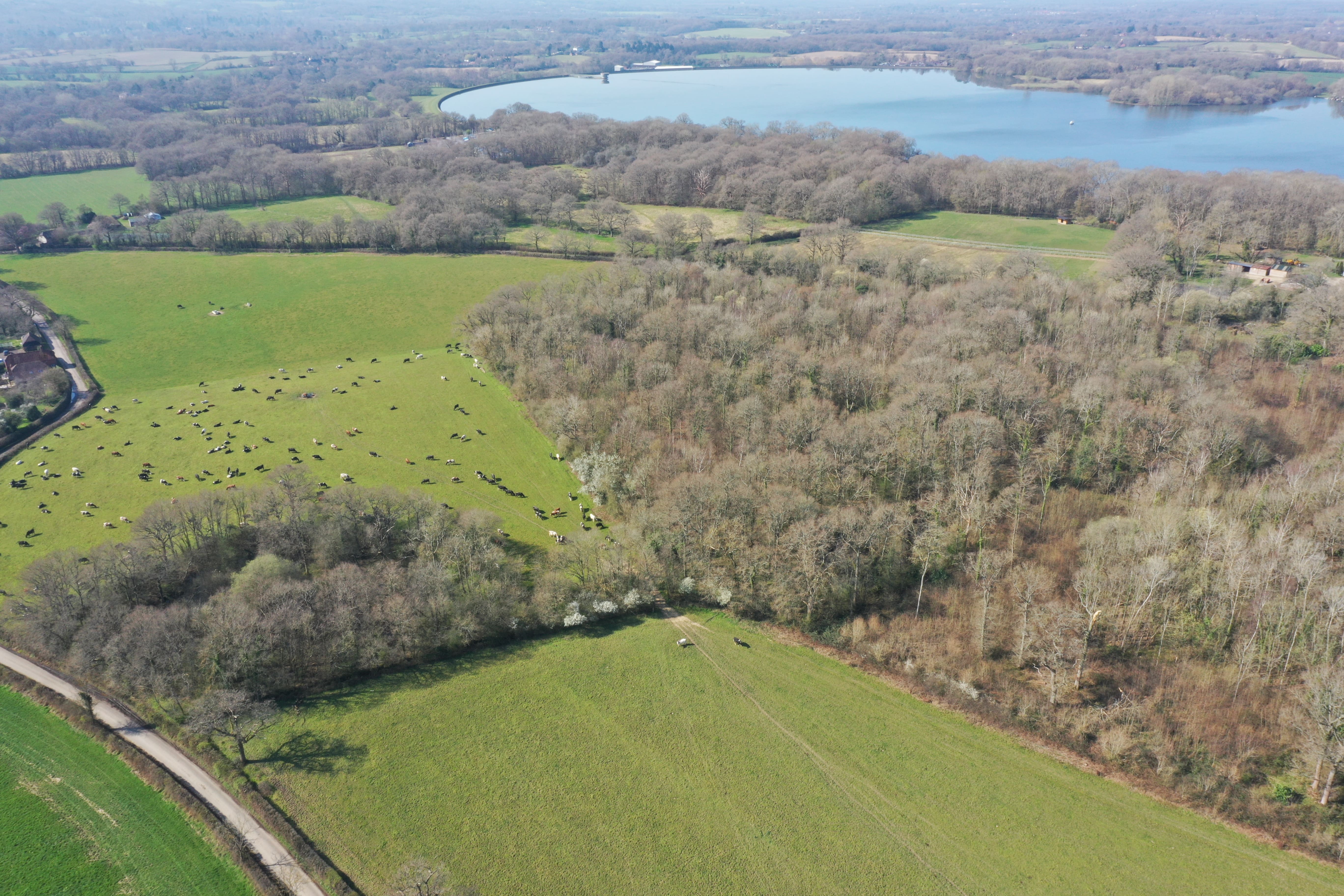 Improving our soils at Bore Place